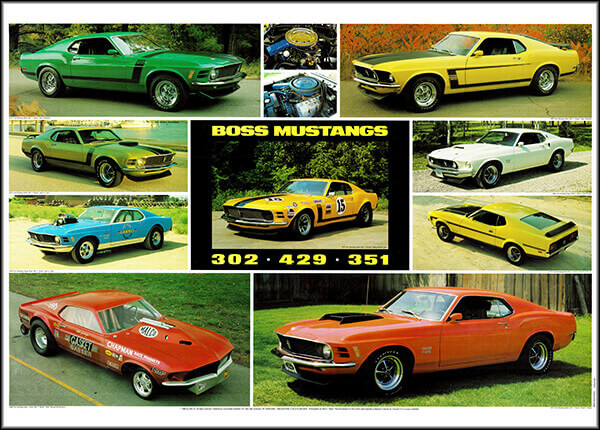 Ford Boss Mustang 302 351 429 Poster